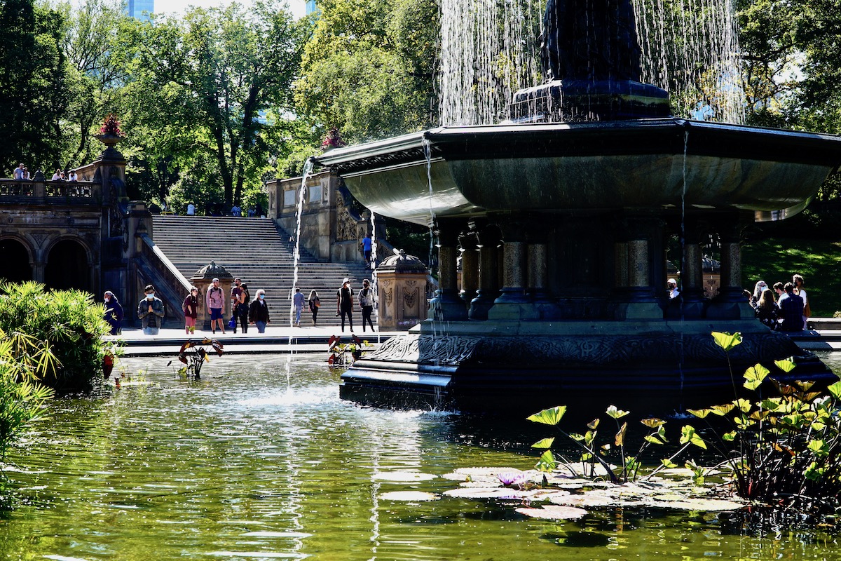 How to be Present in Nature Part VI: Listen – OBSRVNC